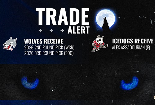Alex Assadourian heading to Niagara - St Catharines